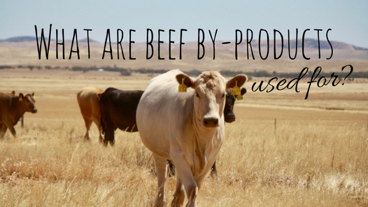 What are beef by-products used for?