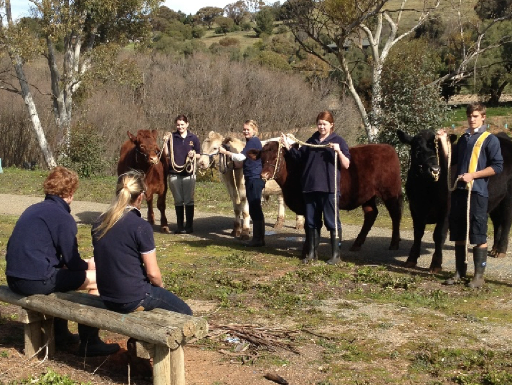 Burra Students Take On The Royal Adelaide Show