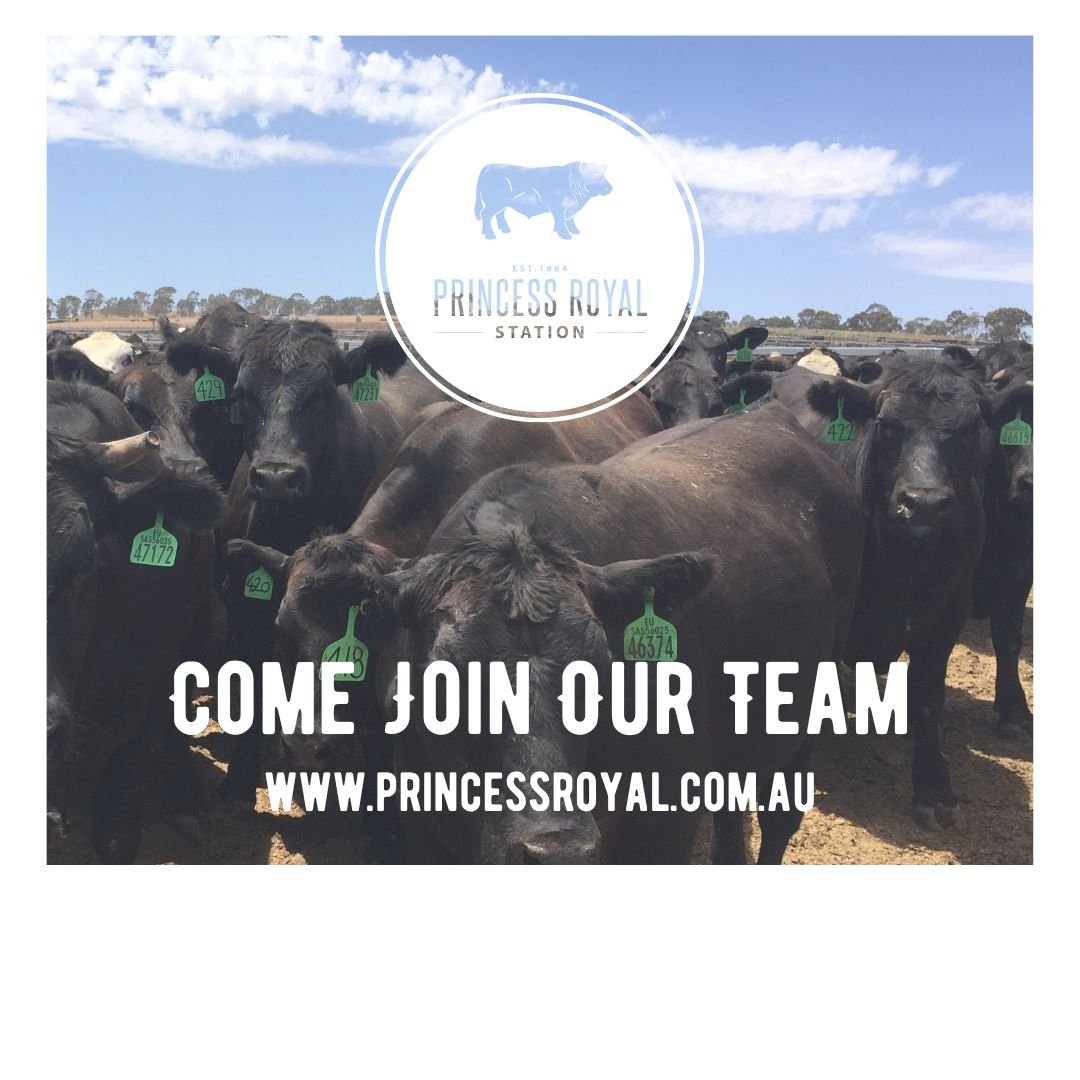 Princess Royal Station Careers