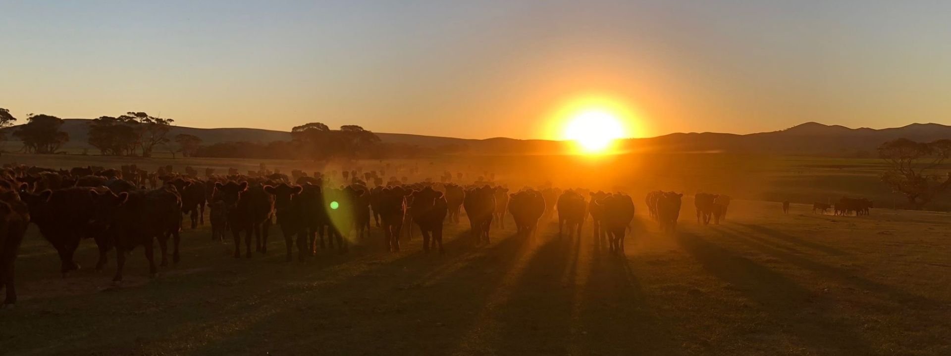 Princess Royal Station - Home