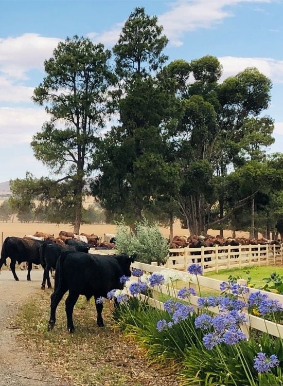 Princess Royal Station - About Us