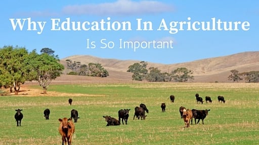 Why Education in Agriculture is Important