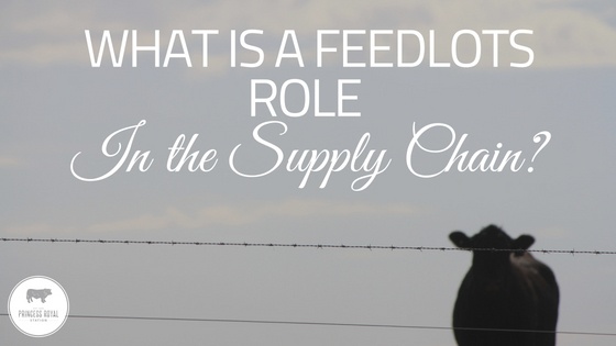 What is a feedlots role in the supply chain?