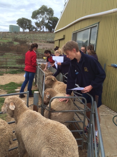 Why Education in Agriculture is Important