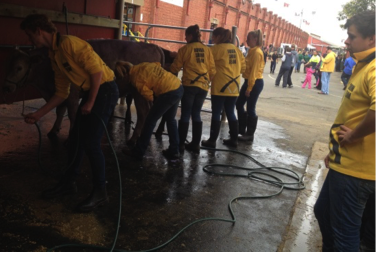 Princess Royal Station - Burra Community School Ag Program