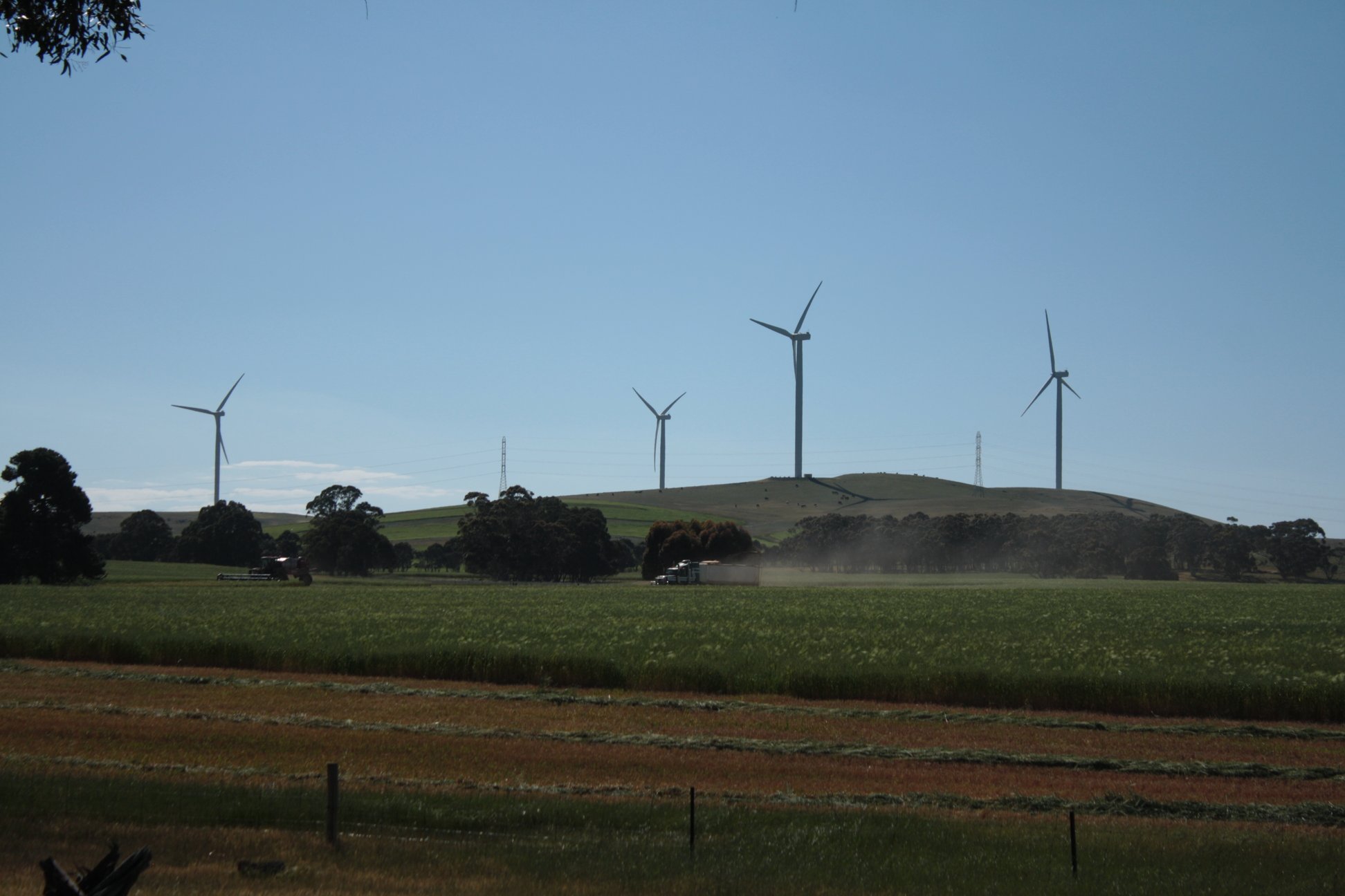 Fast Facts About 8 Common Australian Crops