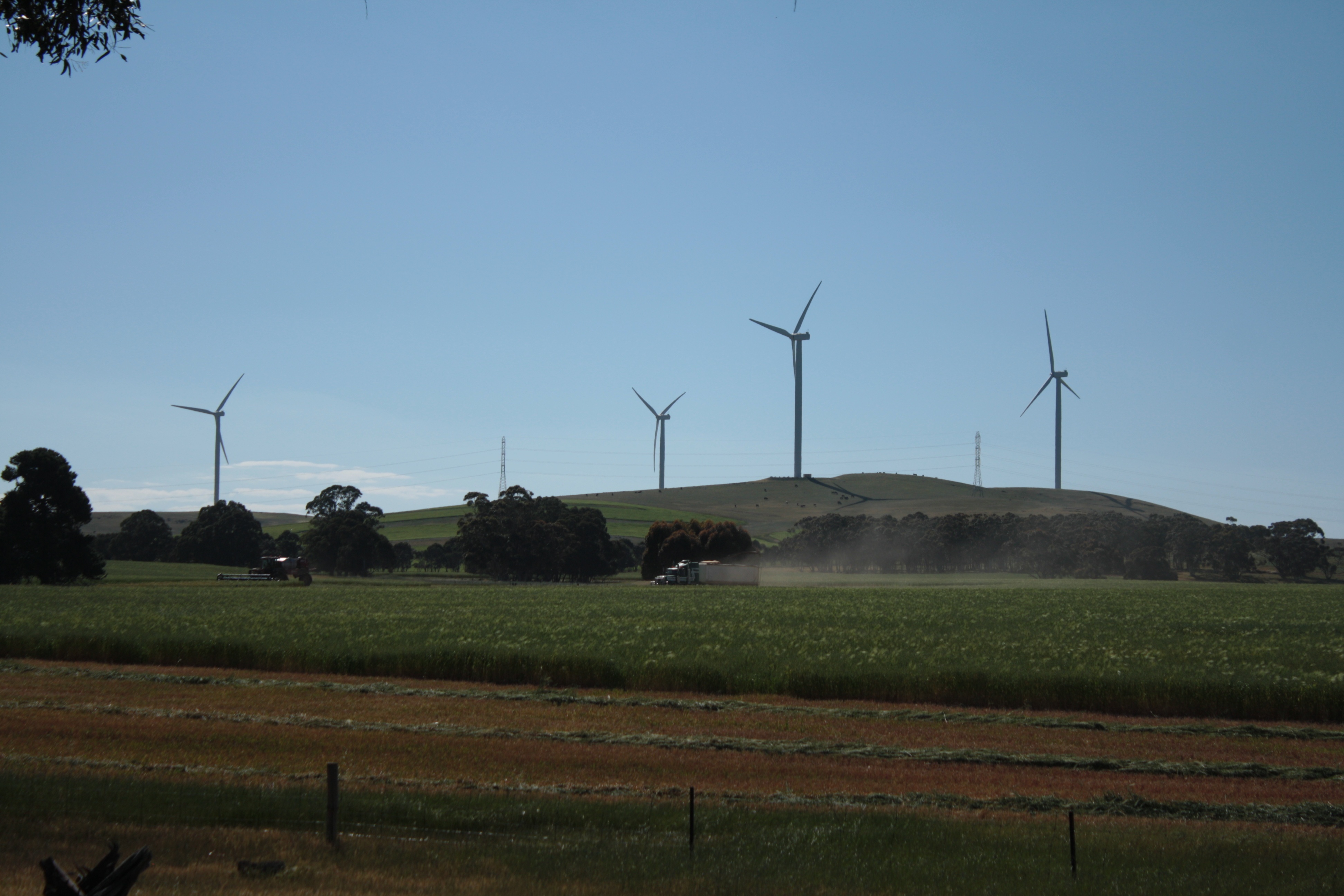 Fast Facts About 8 Common Australian Crops