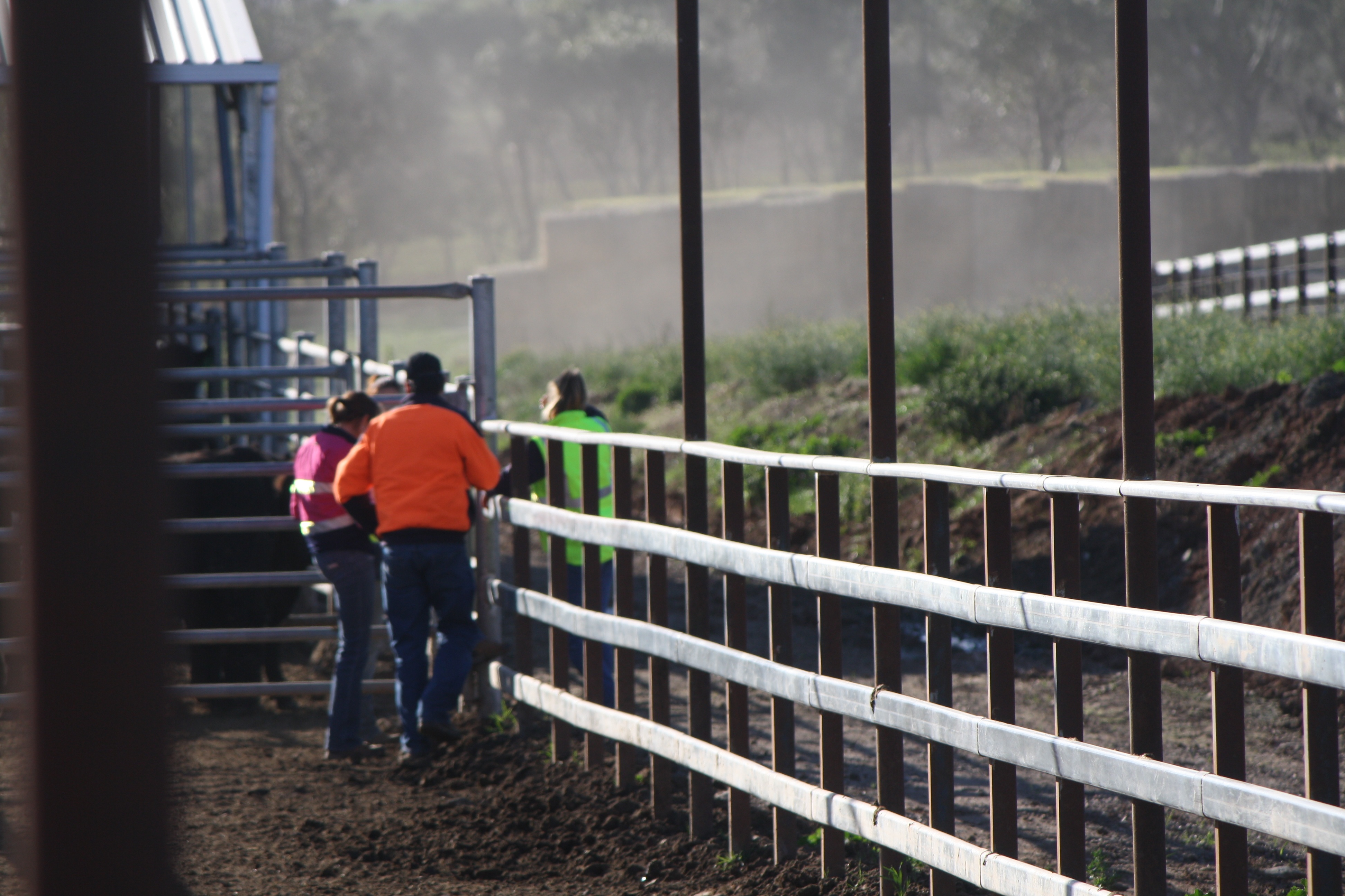 Princess Royal Station Careers