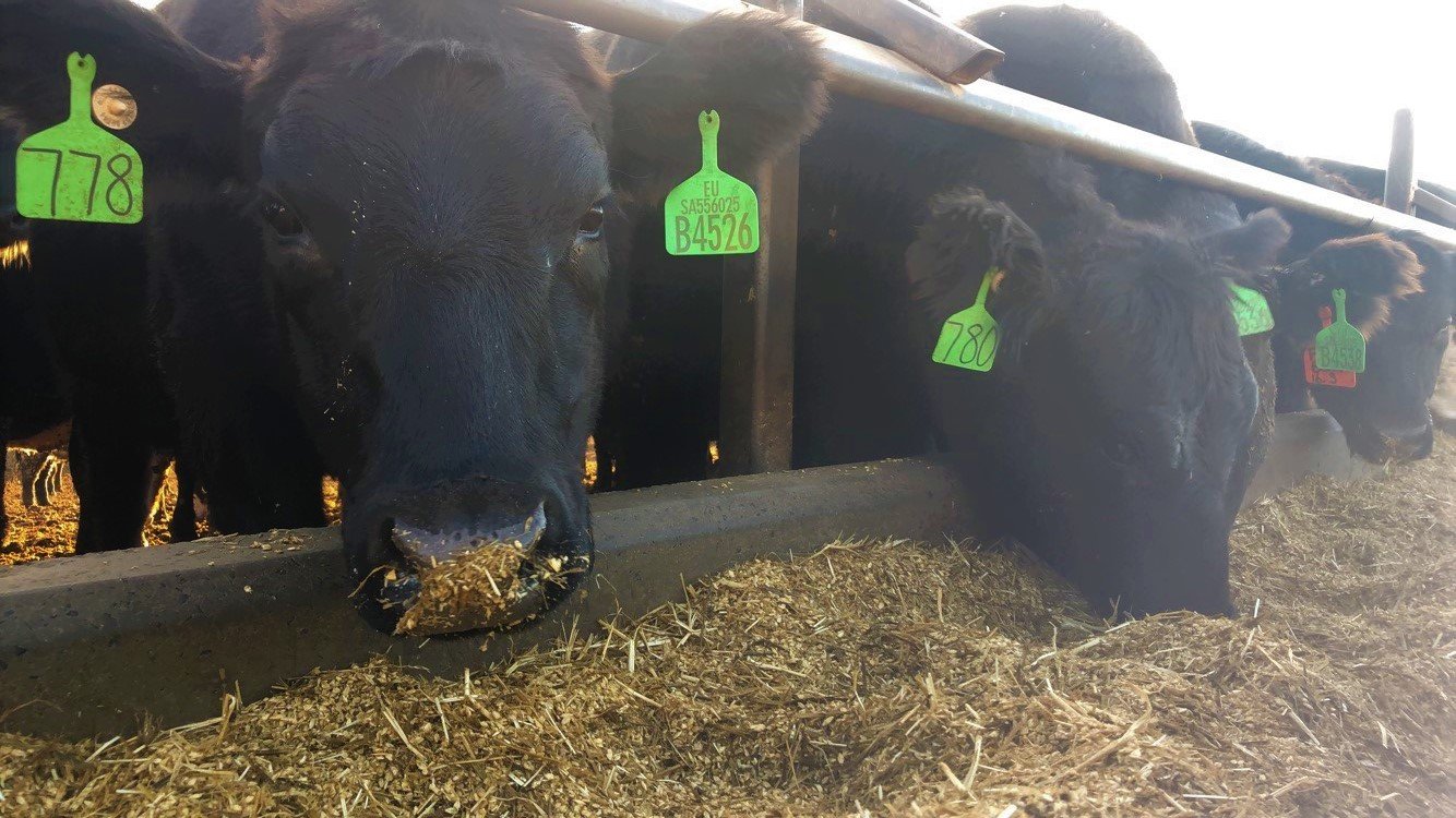 Princess Royal Station Careers