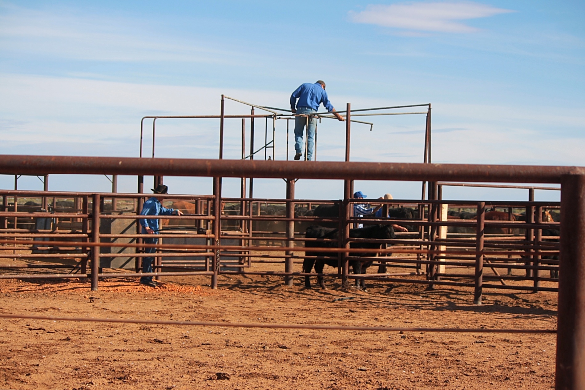 Princess Royal Station Gallery