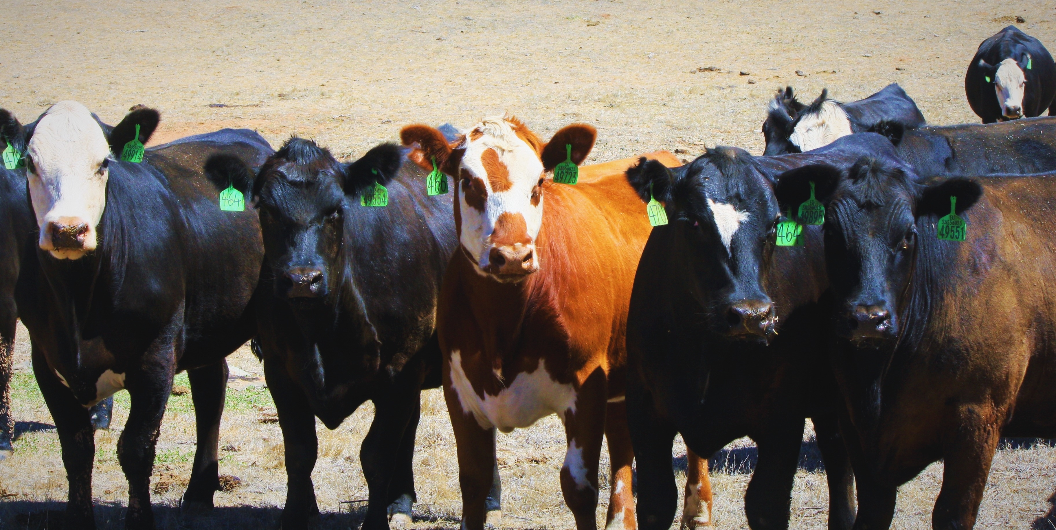 Princess Royal Station Gallery