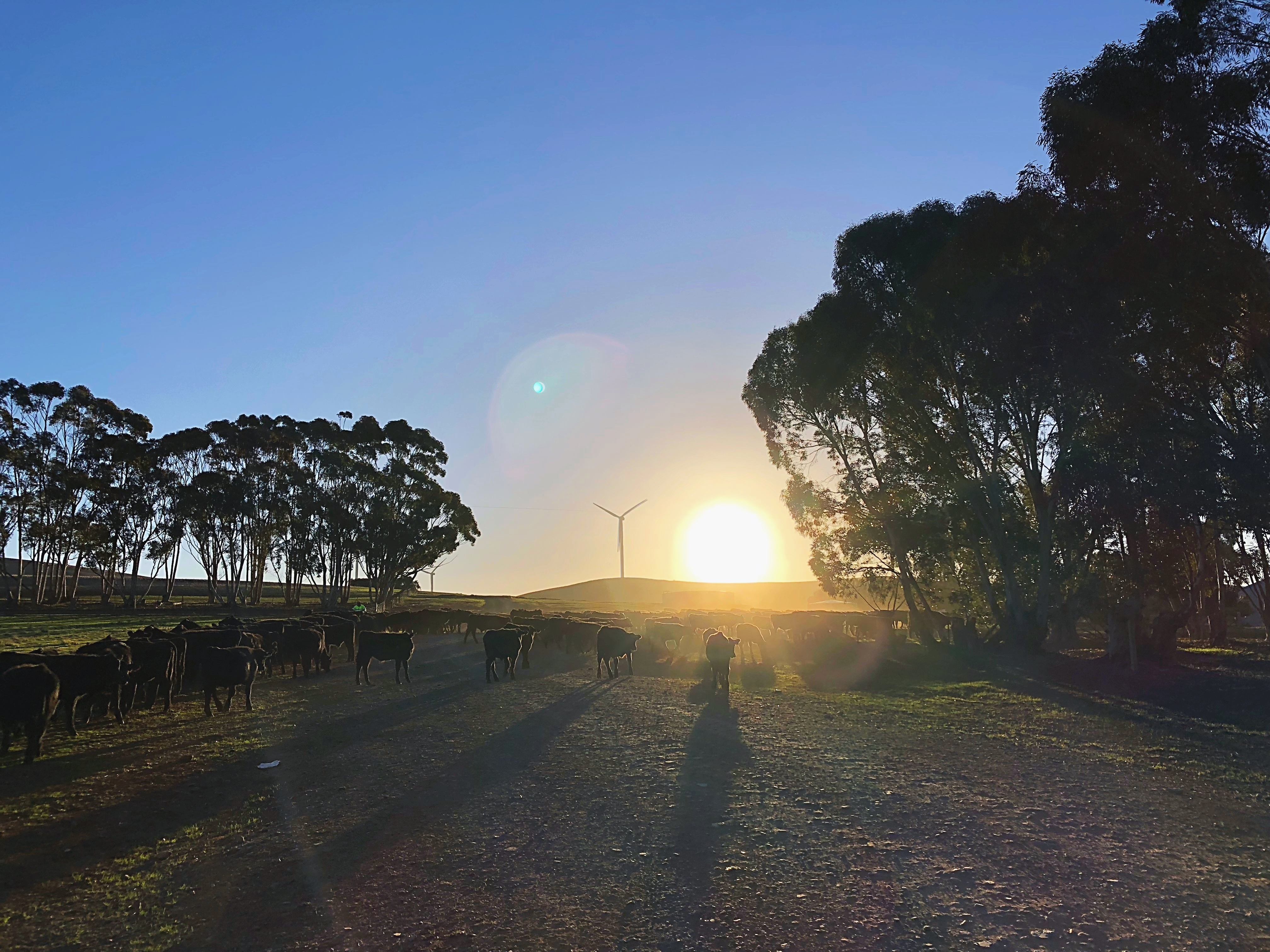 Princess Royal Station Gallery