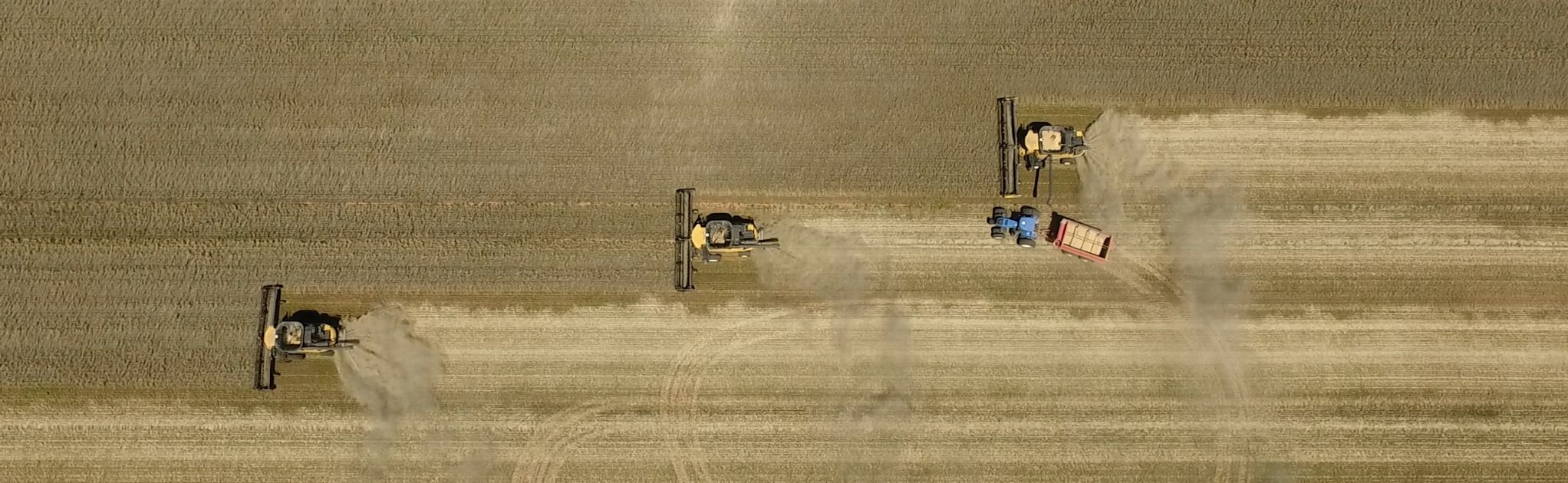 Princess Royal Station - Home