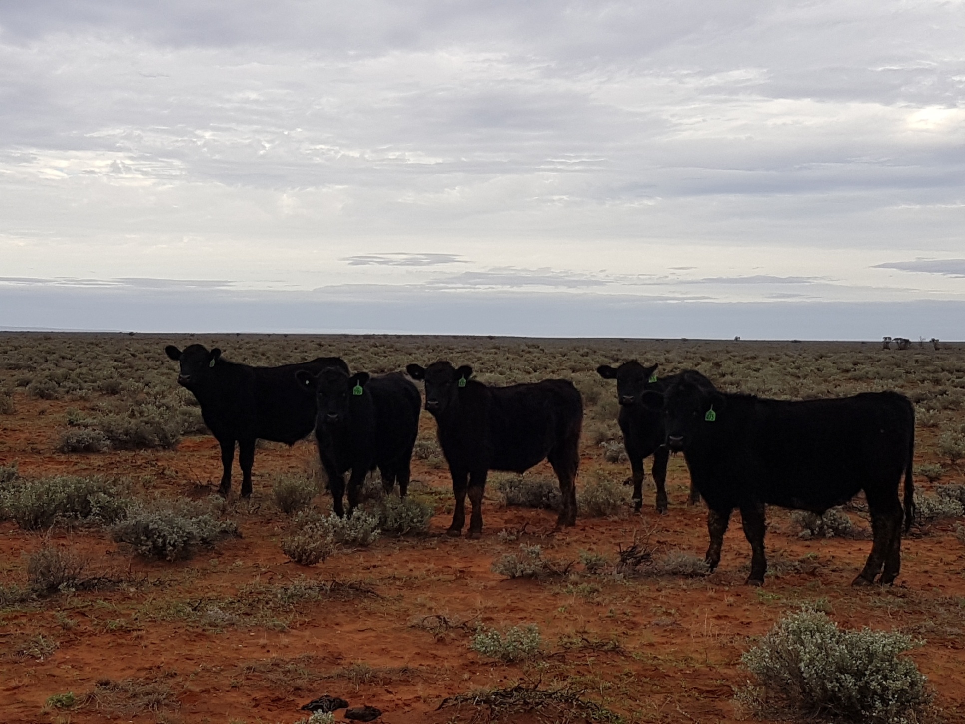 Princess Royal Station Gallery