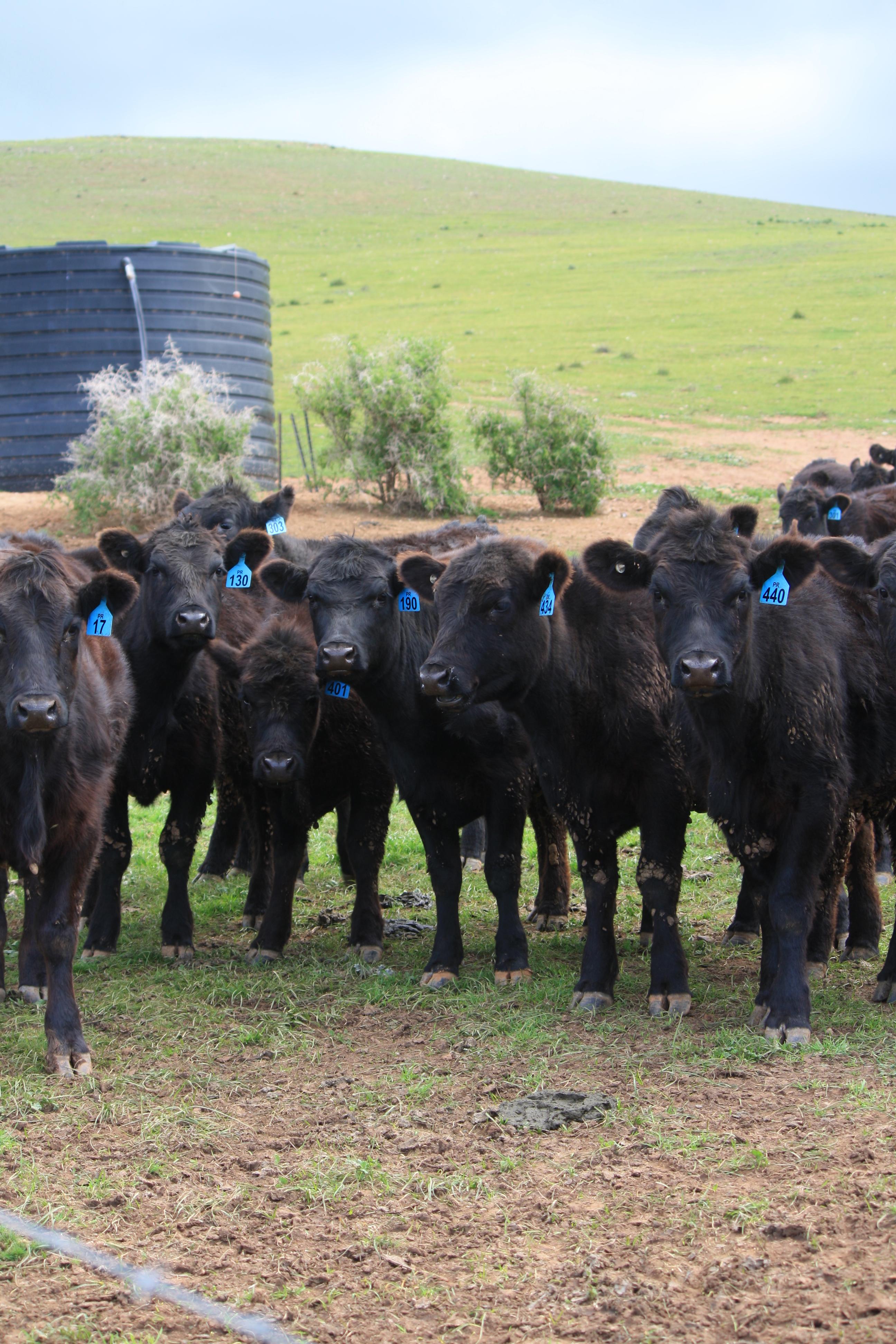 Princess Royal Station Gallery